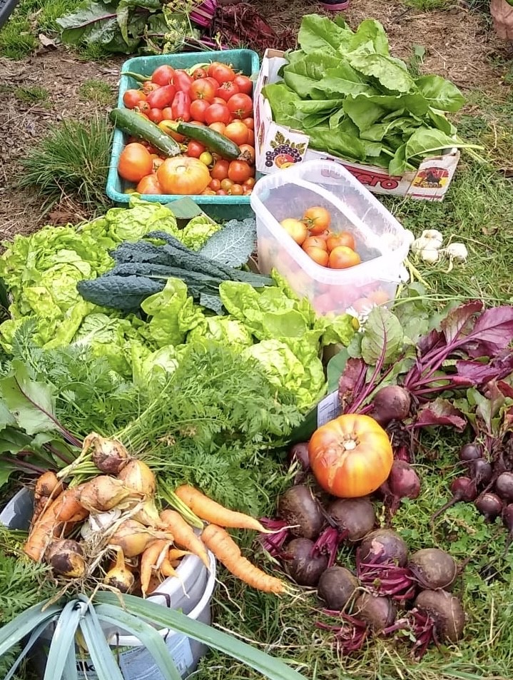 Foodbank Allotment | Cheltenham Foodbank